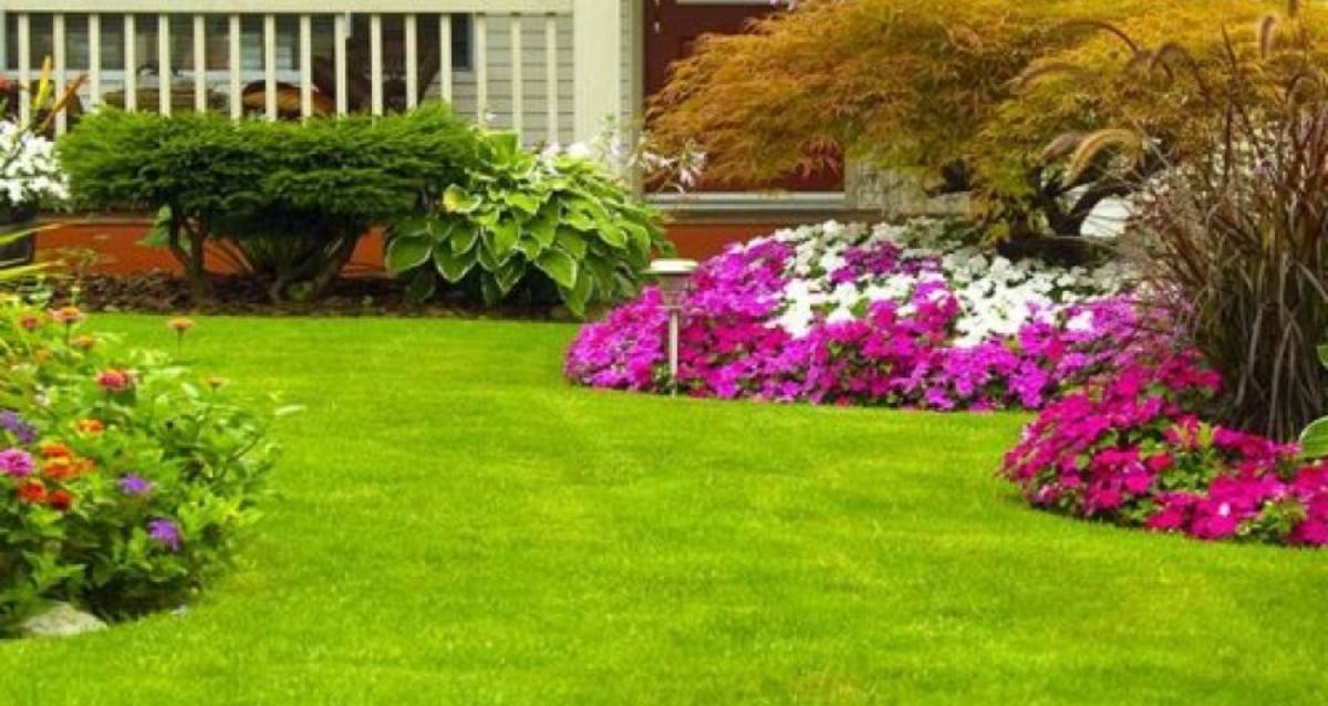 Acun Ilıcalı Survivor 2023